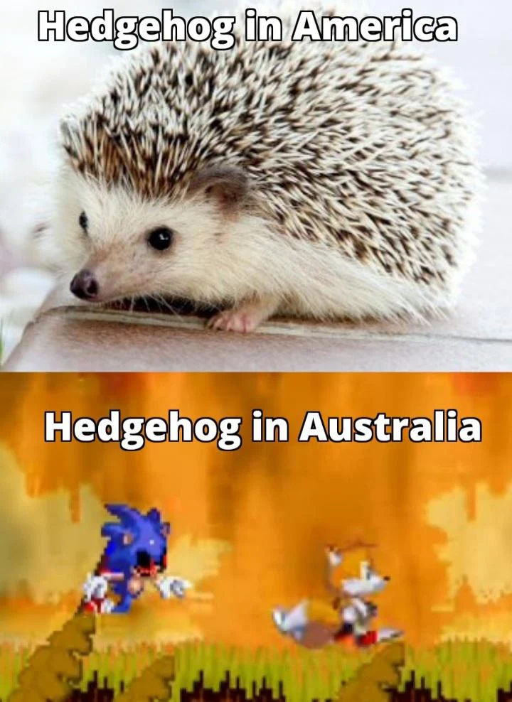 look how cute they look mate | Scrolller