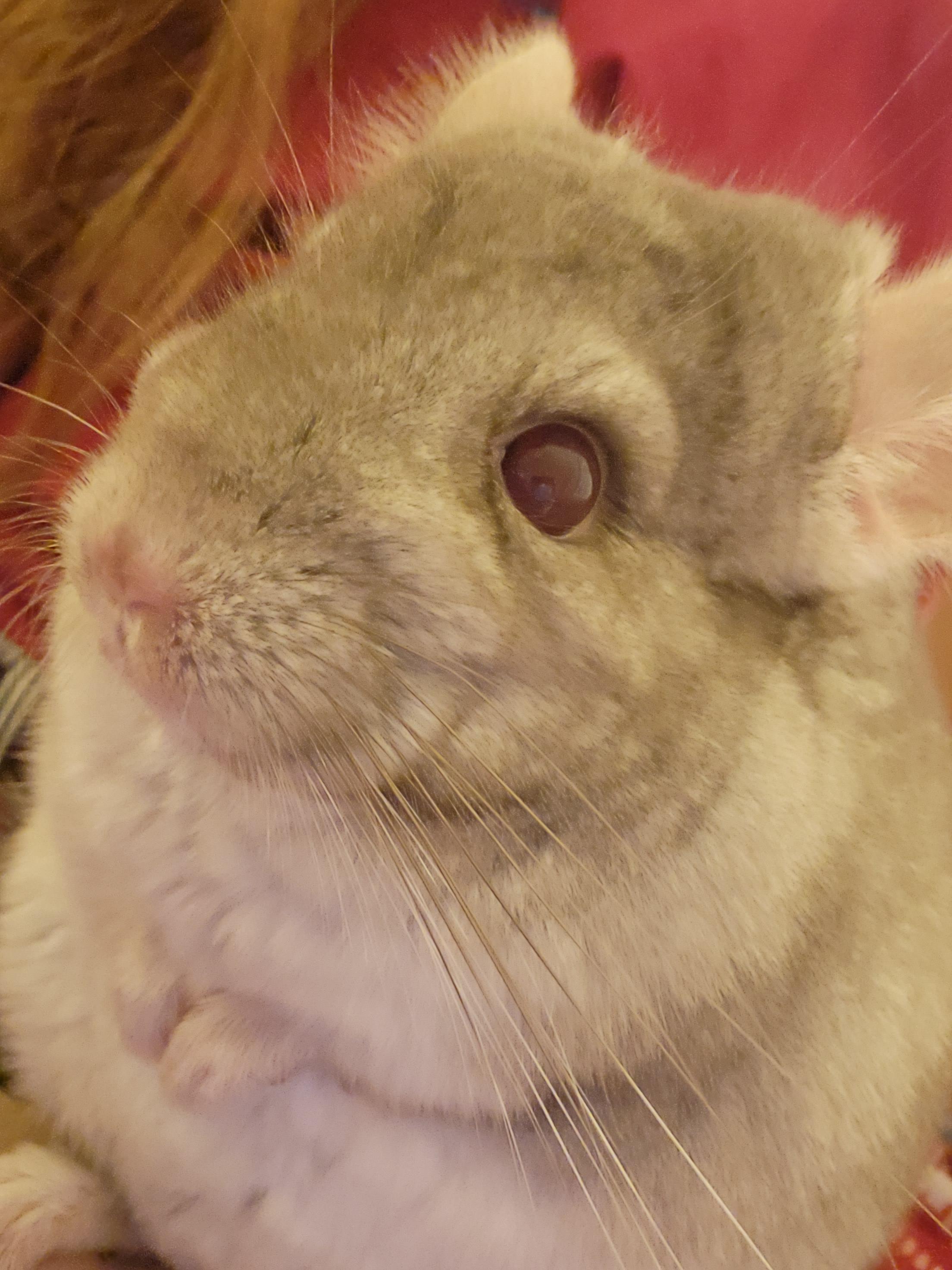 No thoughts, head empty ♡ | Scrolller