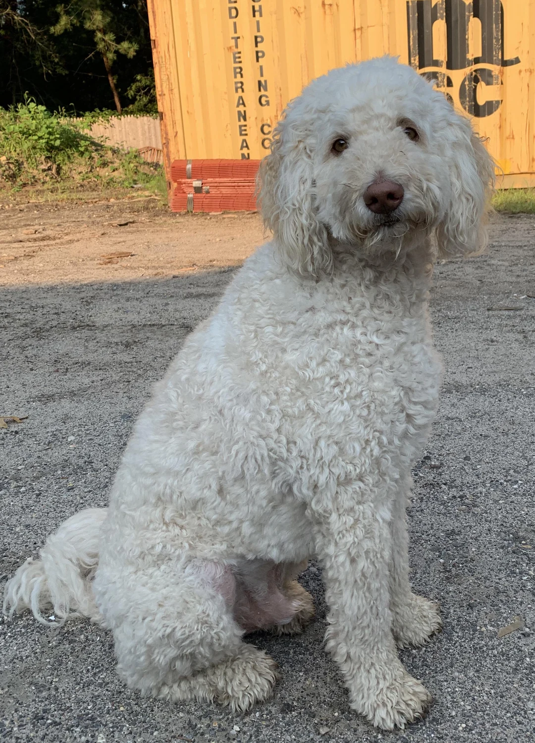 A distinguished gentleman | Scrolller