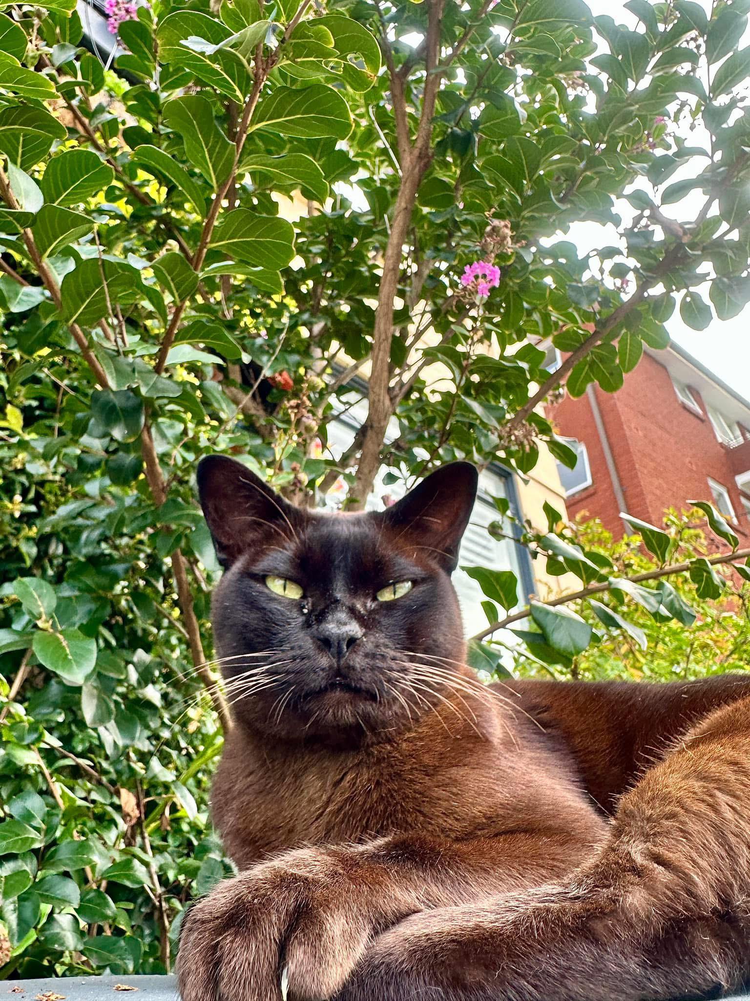 Neo chilling | Scrolller