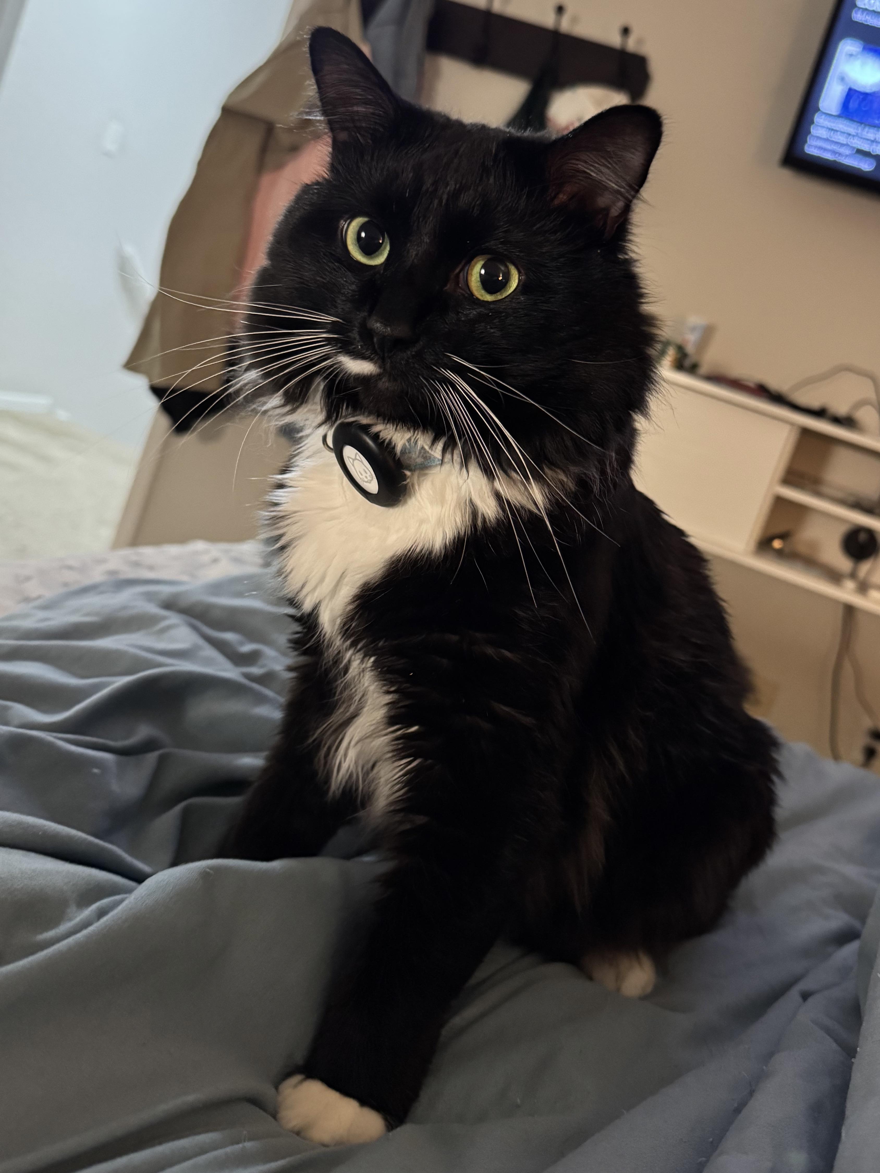 He posed up! | Scrolller