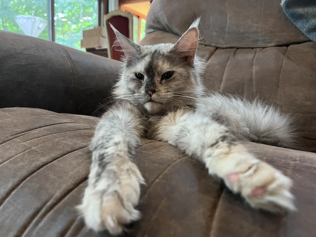 Aurora Has A Case Of The Mondays Scrolller