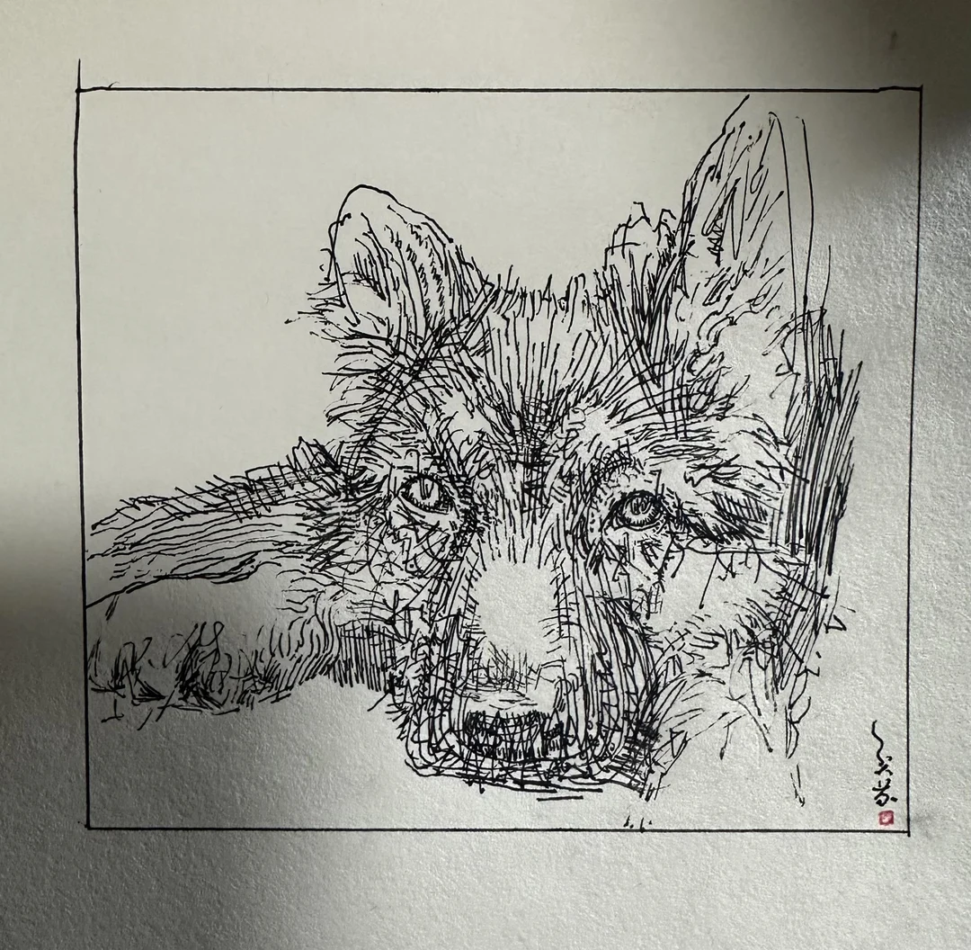 Old Dog,Tinytiny,Ink,2023 | Scrolller