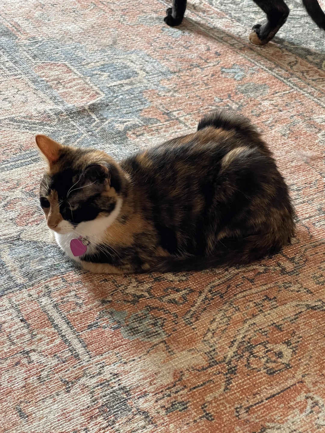 She finally corrected the loaf | Scrolller