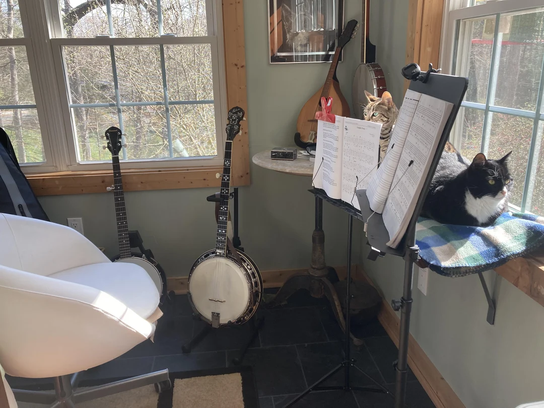 My practice nook, complete with peanut gallery | Scrolller
