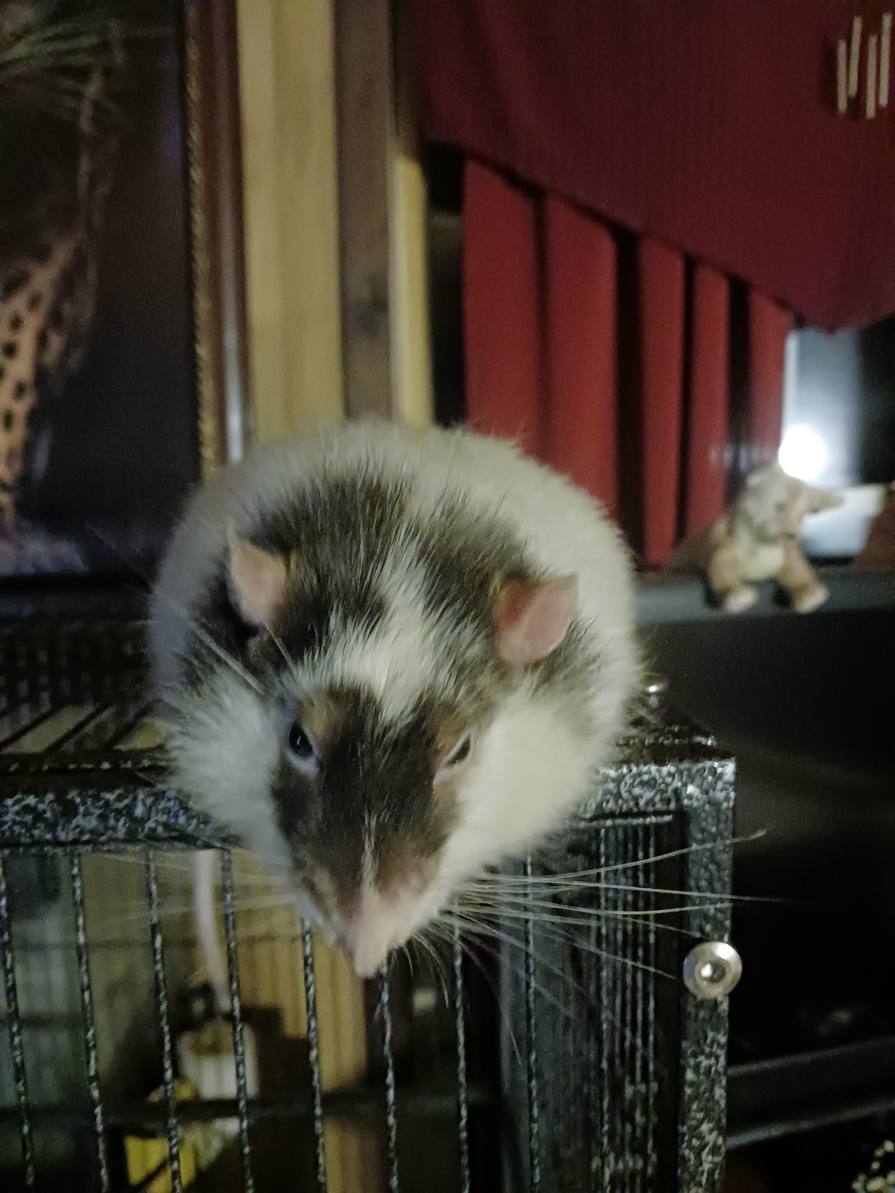 Im plotting something | Scrolller