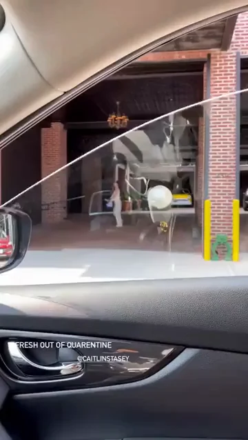 Caitlin Stasey | Scrolller