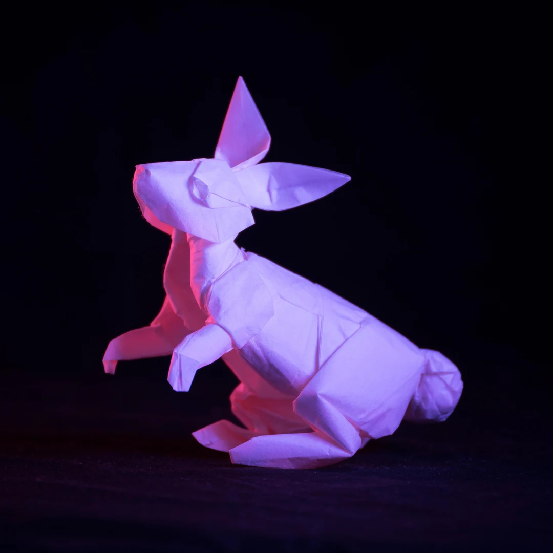 Rabbit, designed by Ronald Koh, folded by me, Origami, 2023 | Scrolller