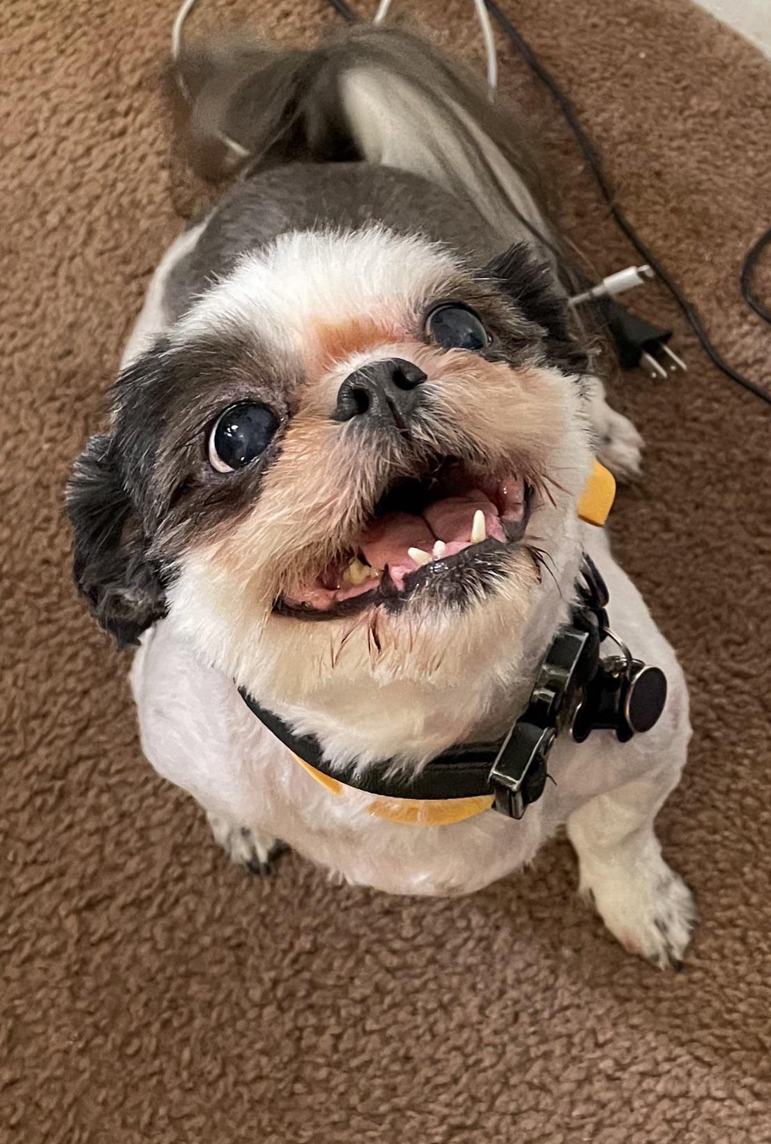 Give me that snacc | Scrolller