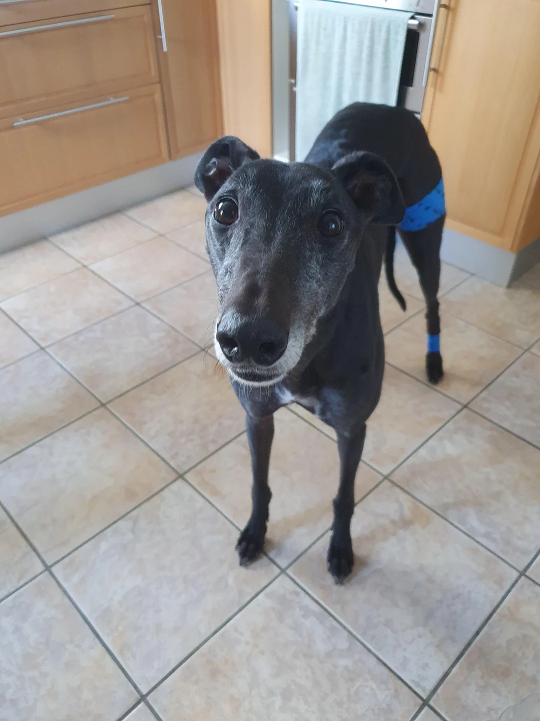 Cone recommendations? | Scrolller