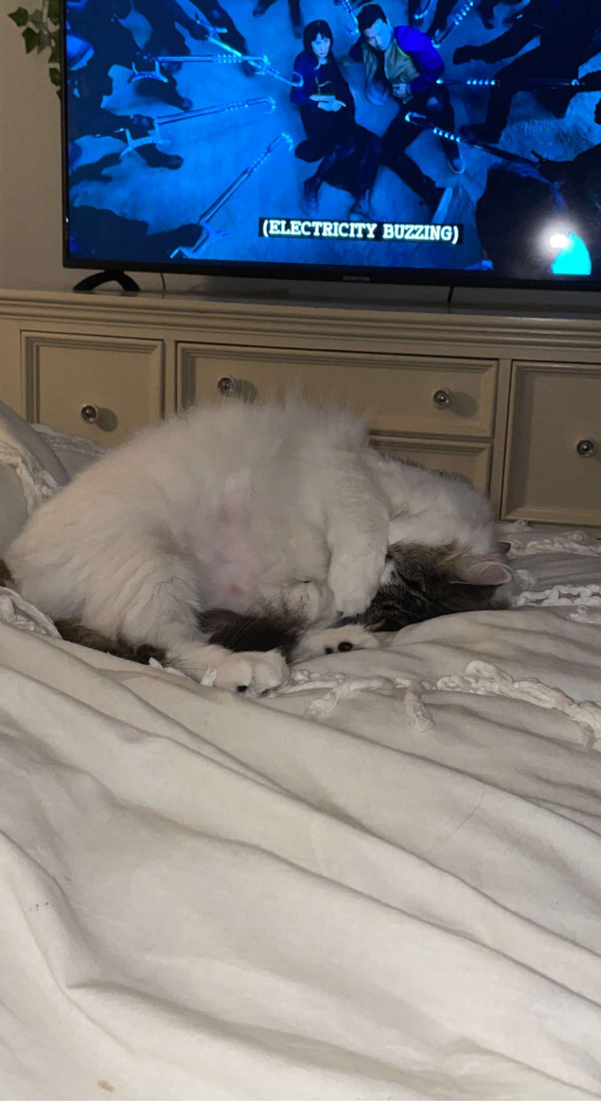 I love when Miss Peep does he sleepy pose! | Scrolller