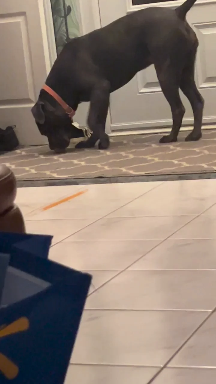 What's she digging?? | Scrolller