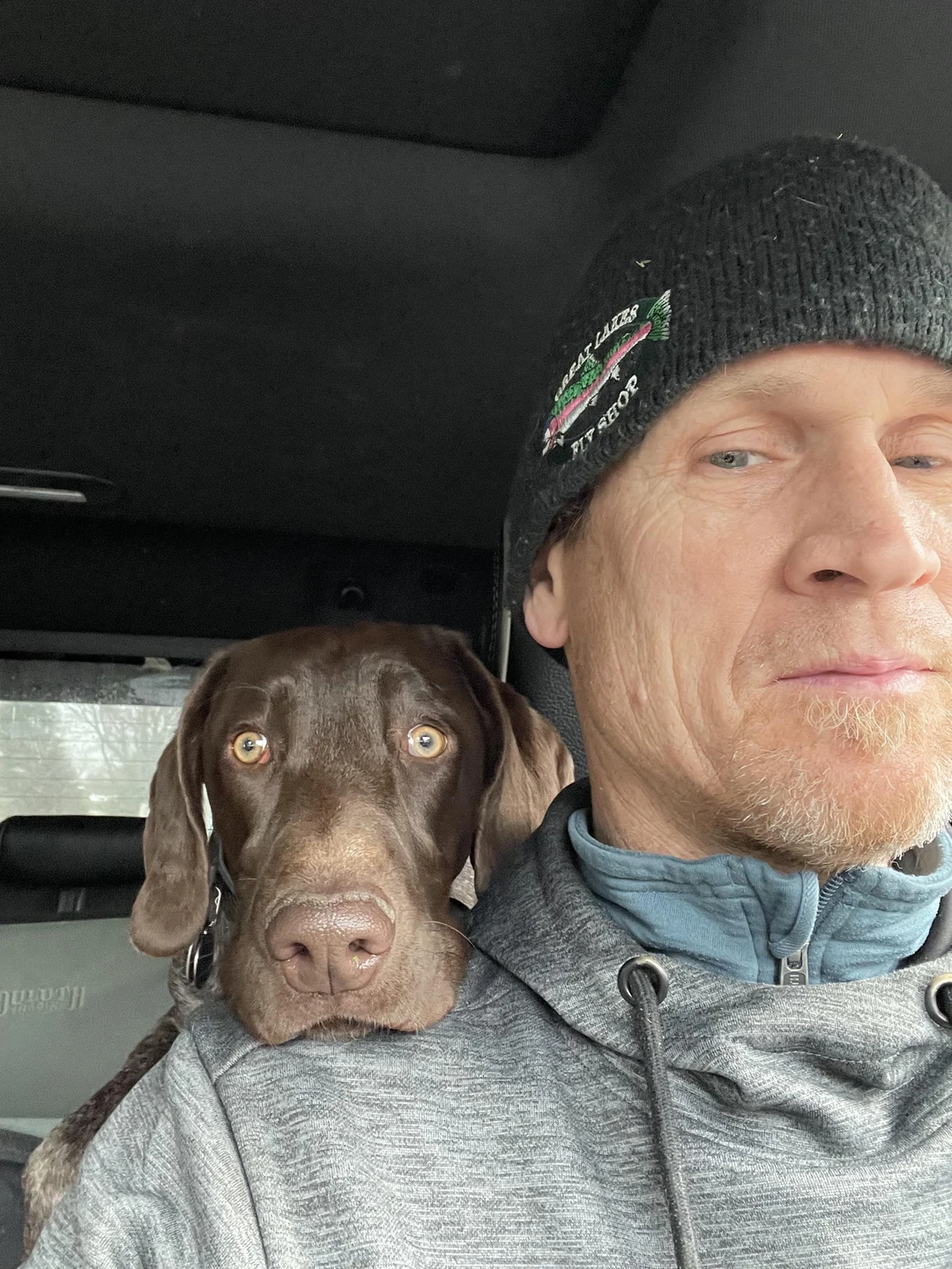 Discover more like AnimalsBeingDerps: Derpumus dogumus my copilot. and Related Content | Scrolller