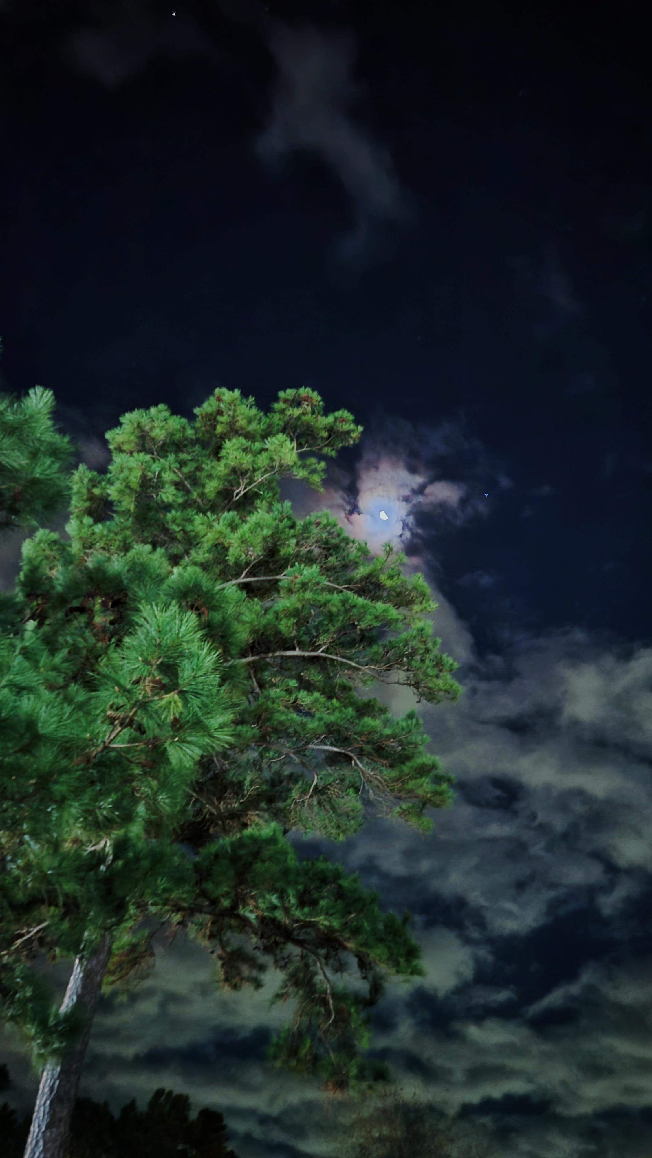 Discover more like SkyPorn: Partly Cloudy Night [OC] and Related Content | Scrolller