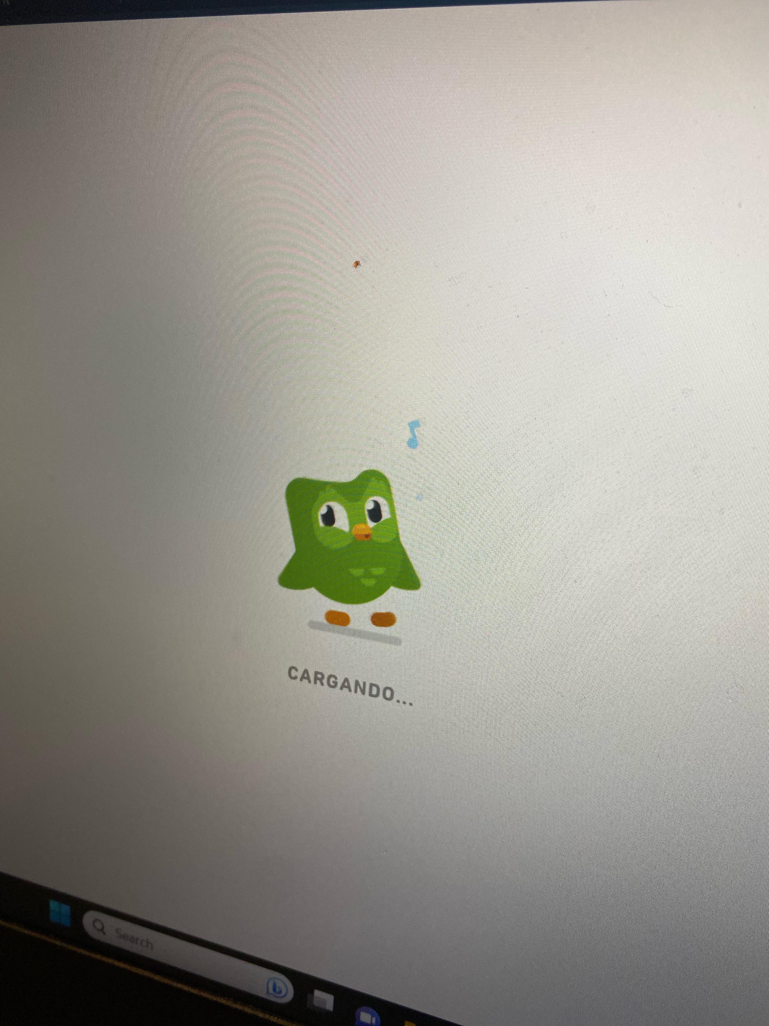 Duolingo does not stop loading | Scrolller