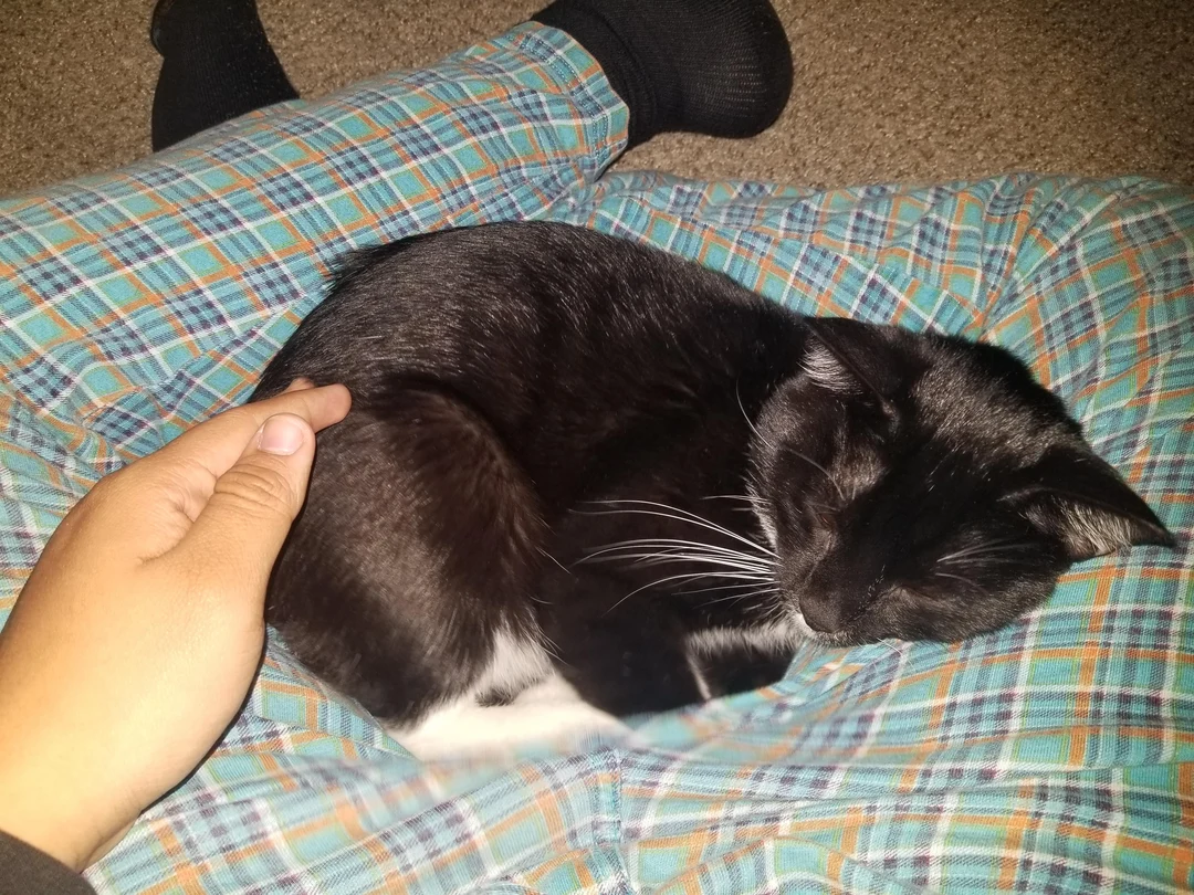 Sleepy loaf | Scrolller