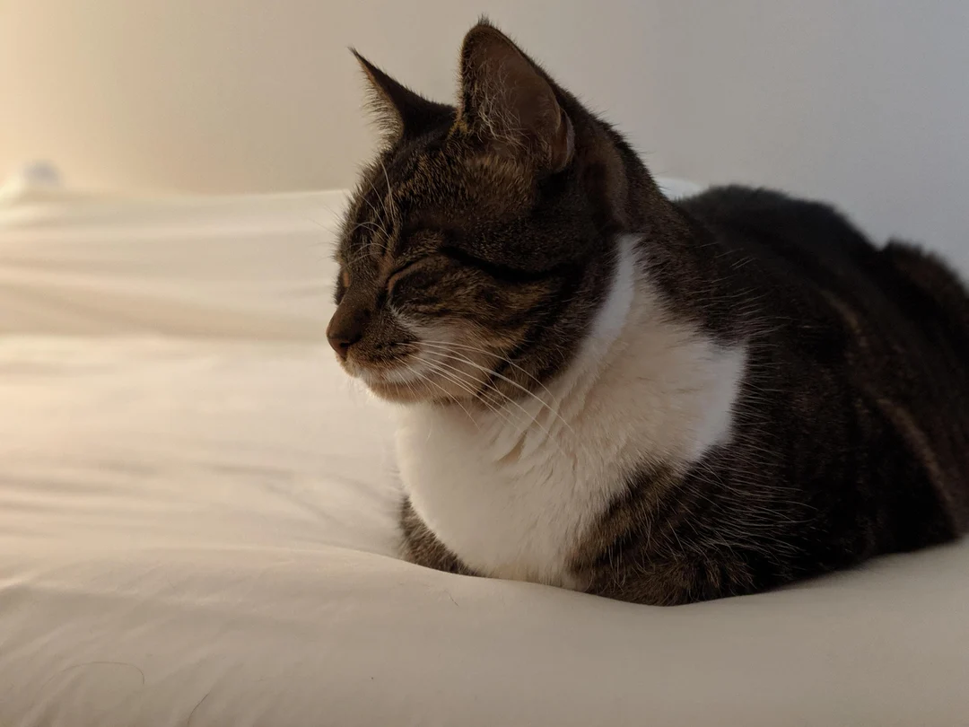 she snooze | Scrolller