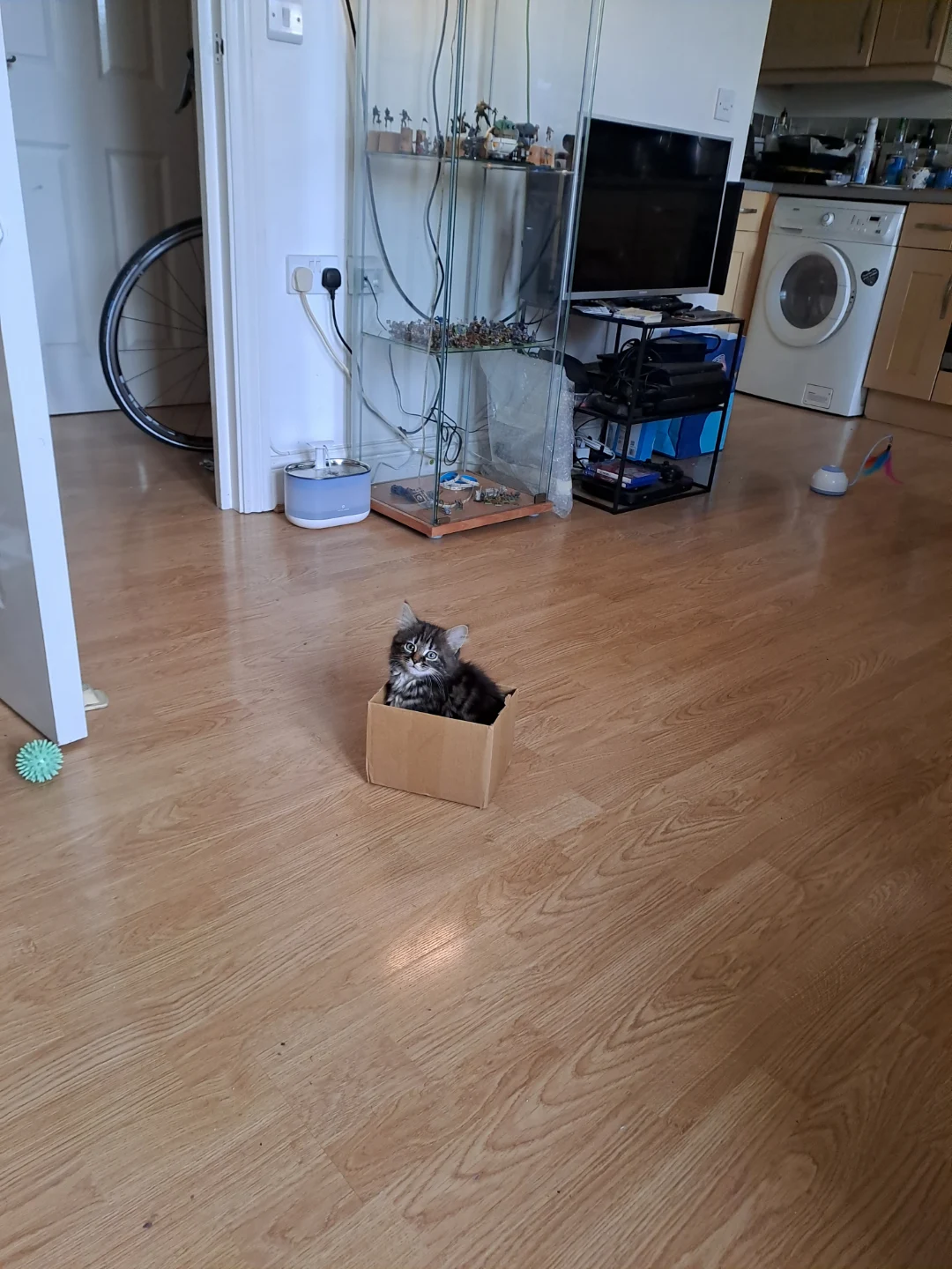 Megatron, captured at last. | Scrolller