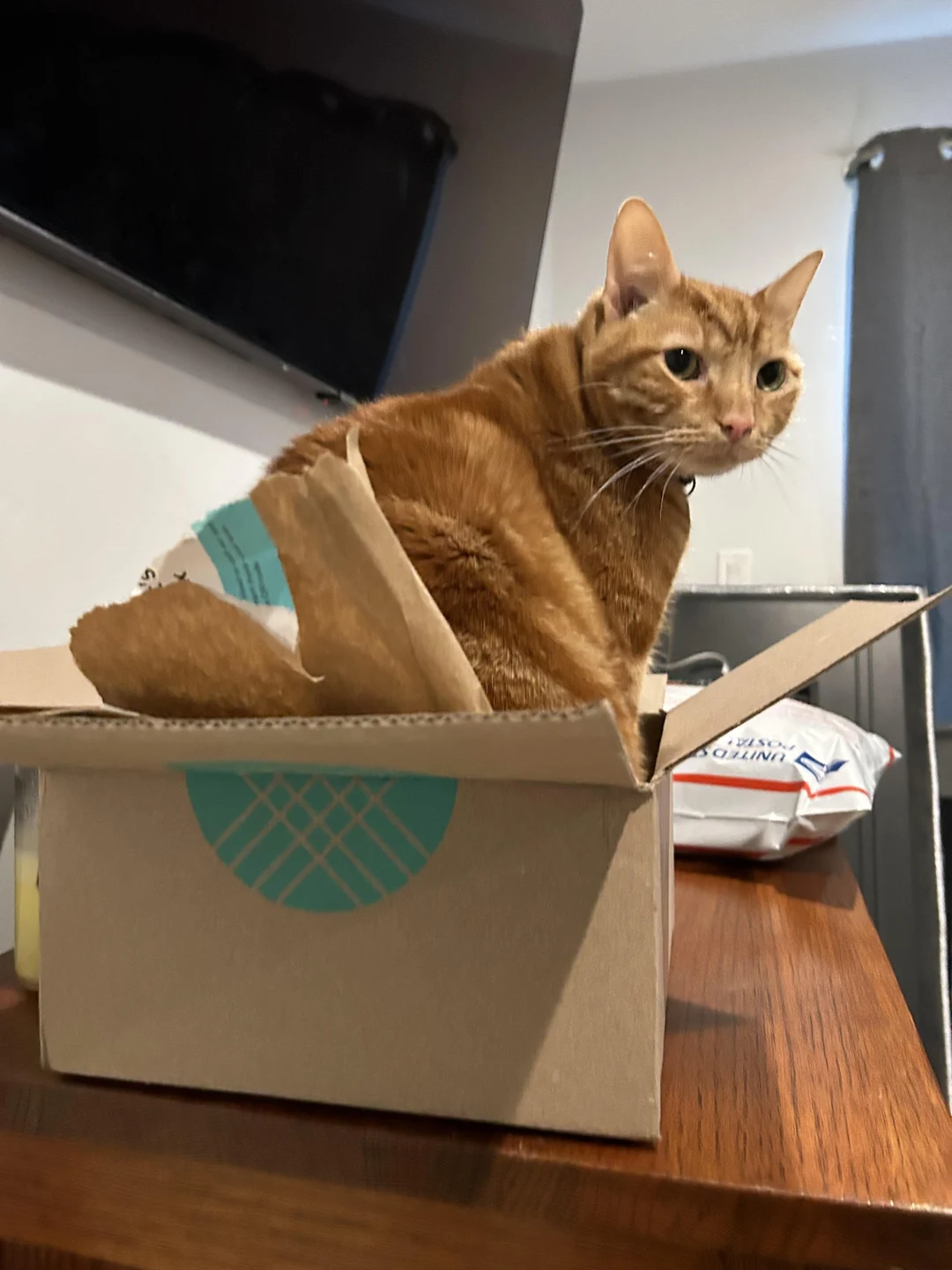 Return this order, not what I expected. Just kidding, totally keep. | Scrolller