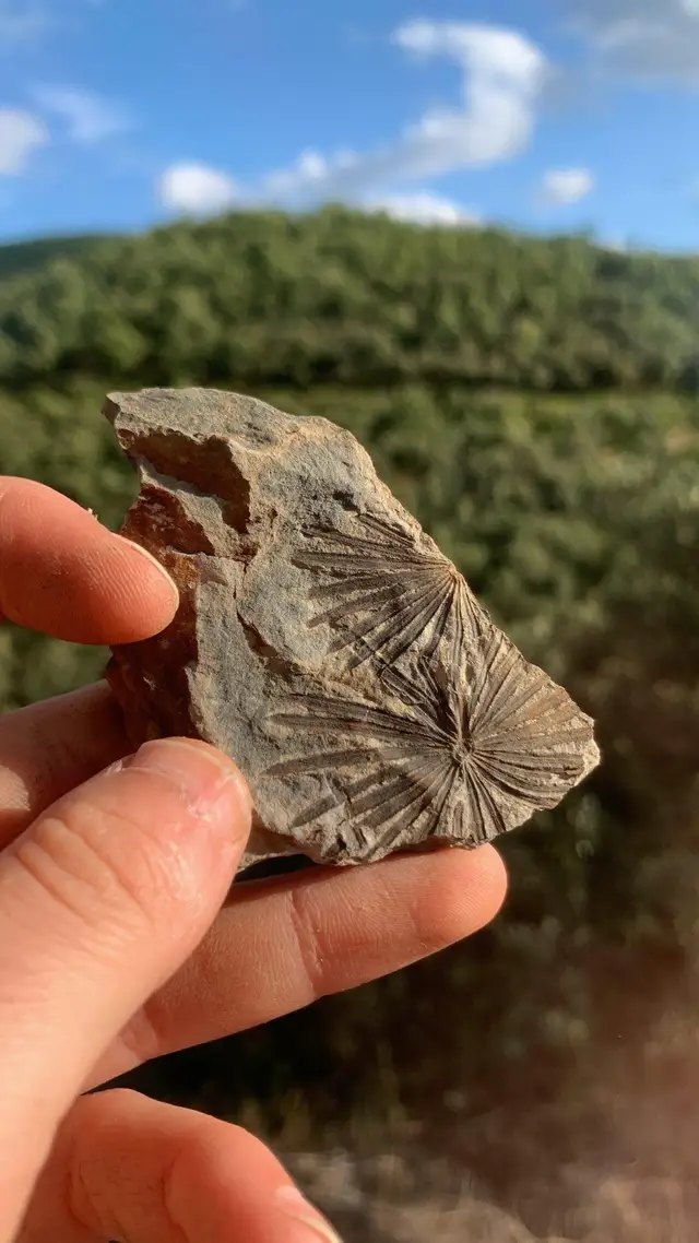 Nice find! | Scrolller