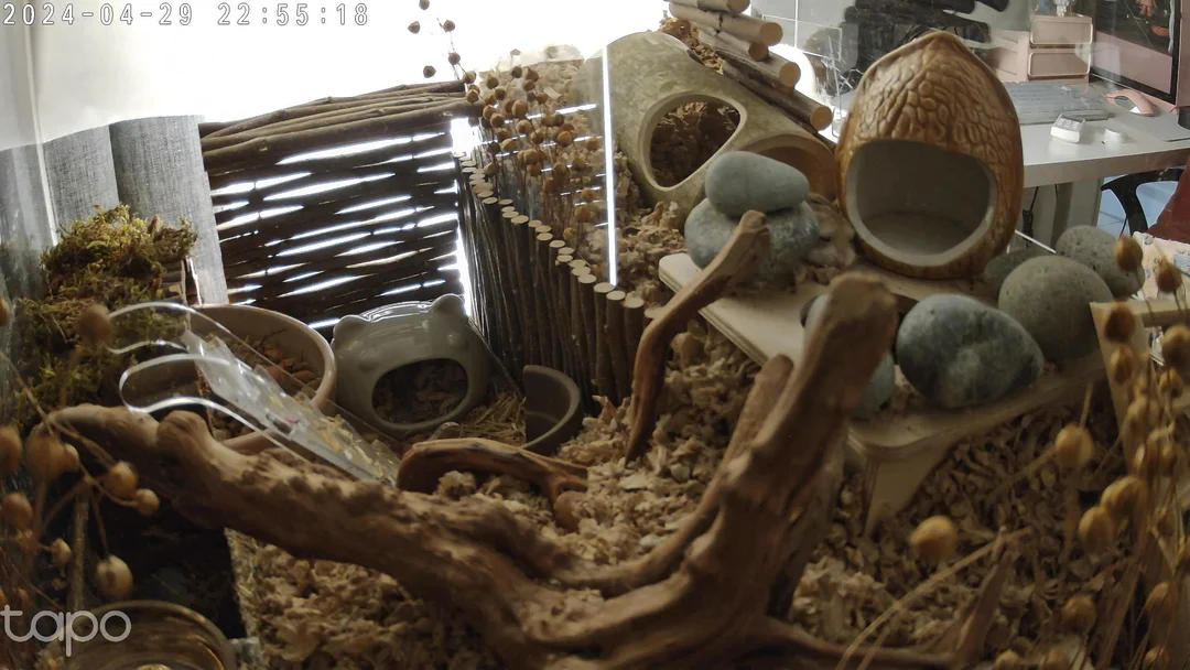 Can you spot Mochi? 😂 | Scrolller