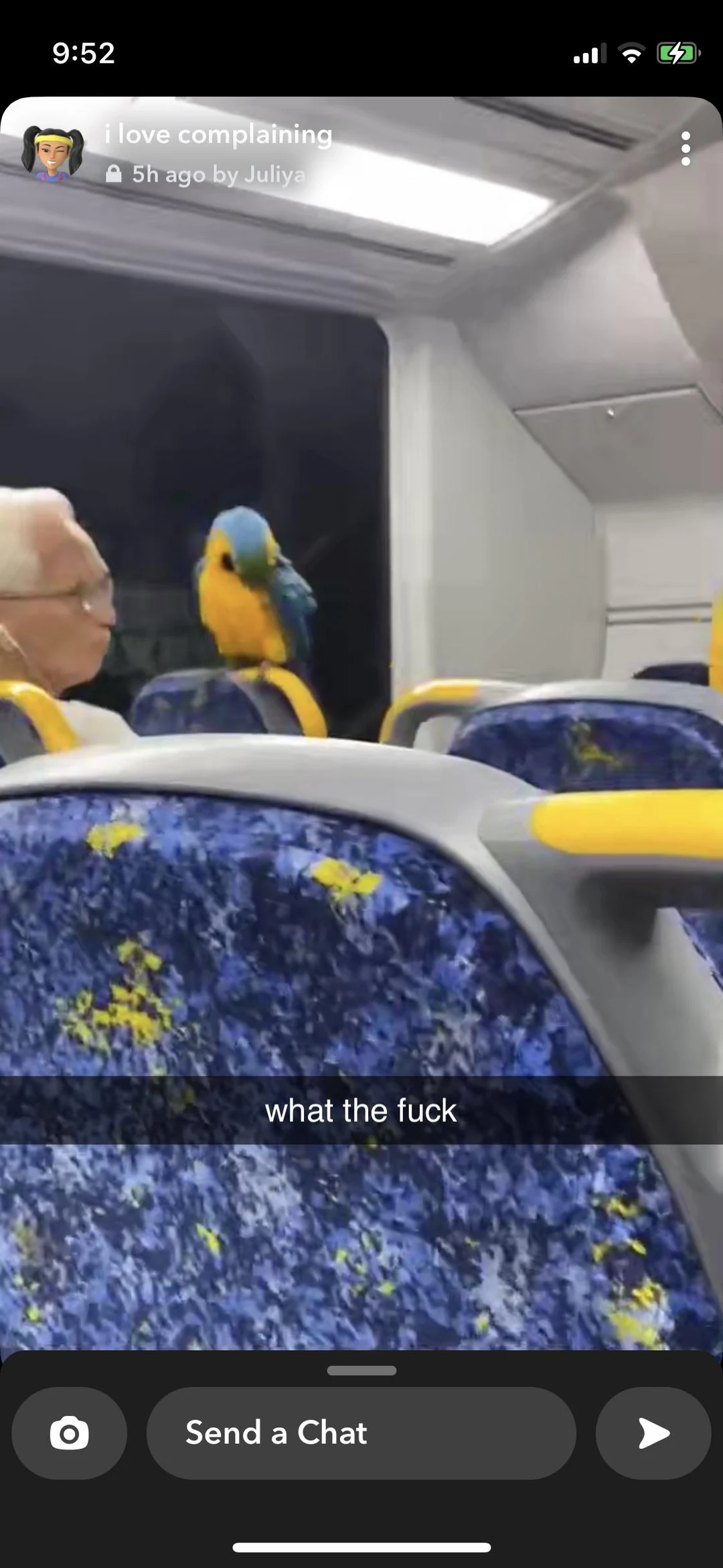 My friend’s Snapchat story on a Sydney train | Scrolller