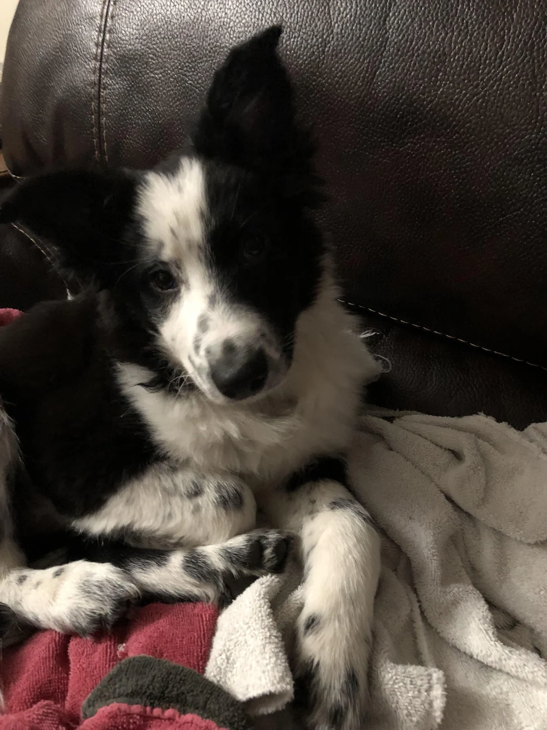 Ralphie about 5 years ago | Scrolller