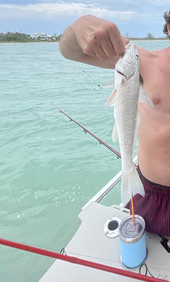Need help identifying. Caught in the Gulf of Mexico in shallows waters. | Scrolller