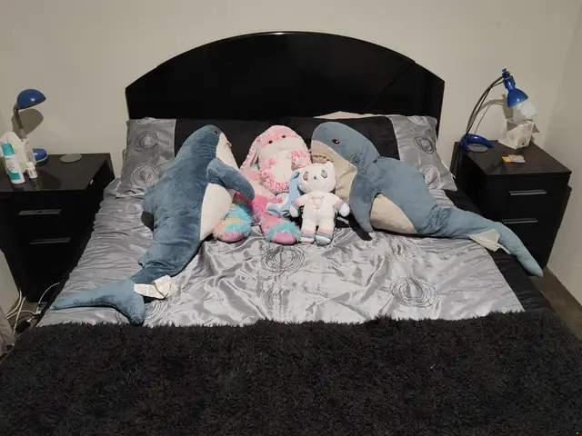 What 2 trans girls bed looks like :3 (but typically more plushies) | Scrolller