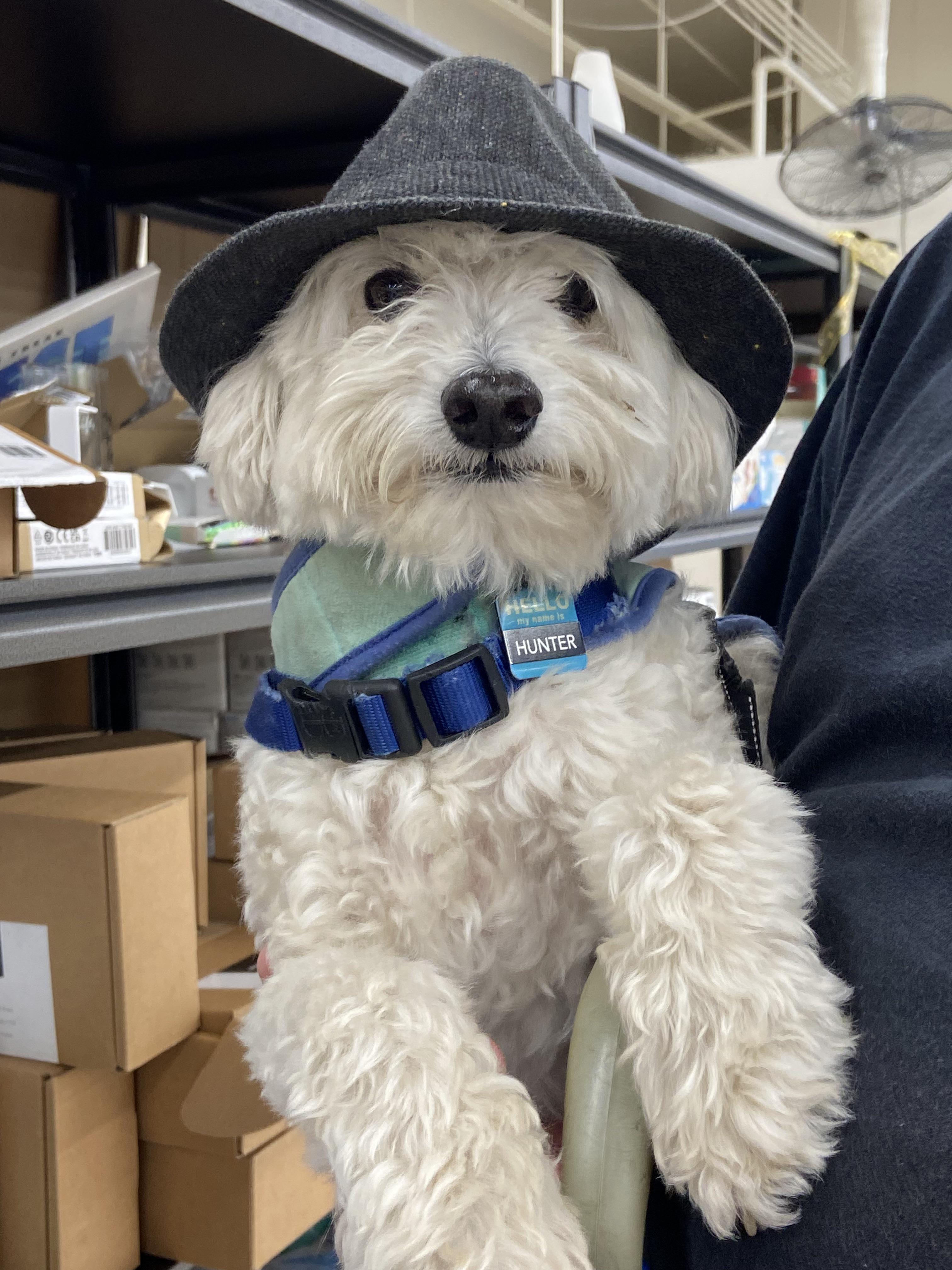 Looking Dapper Scrolller