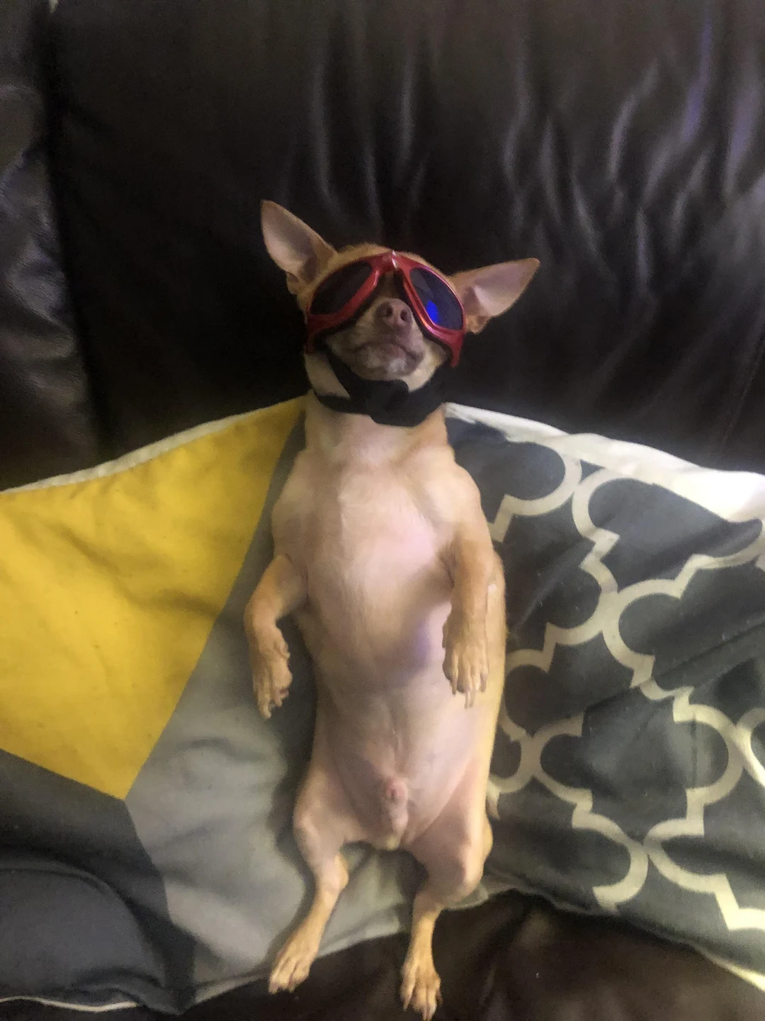 No context only cool | Scrolller