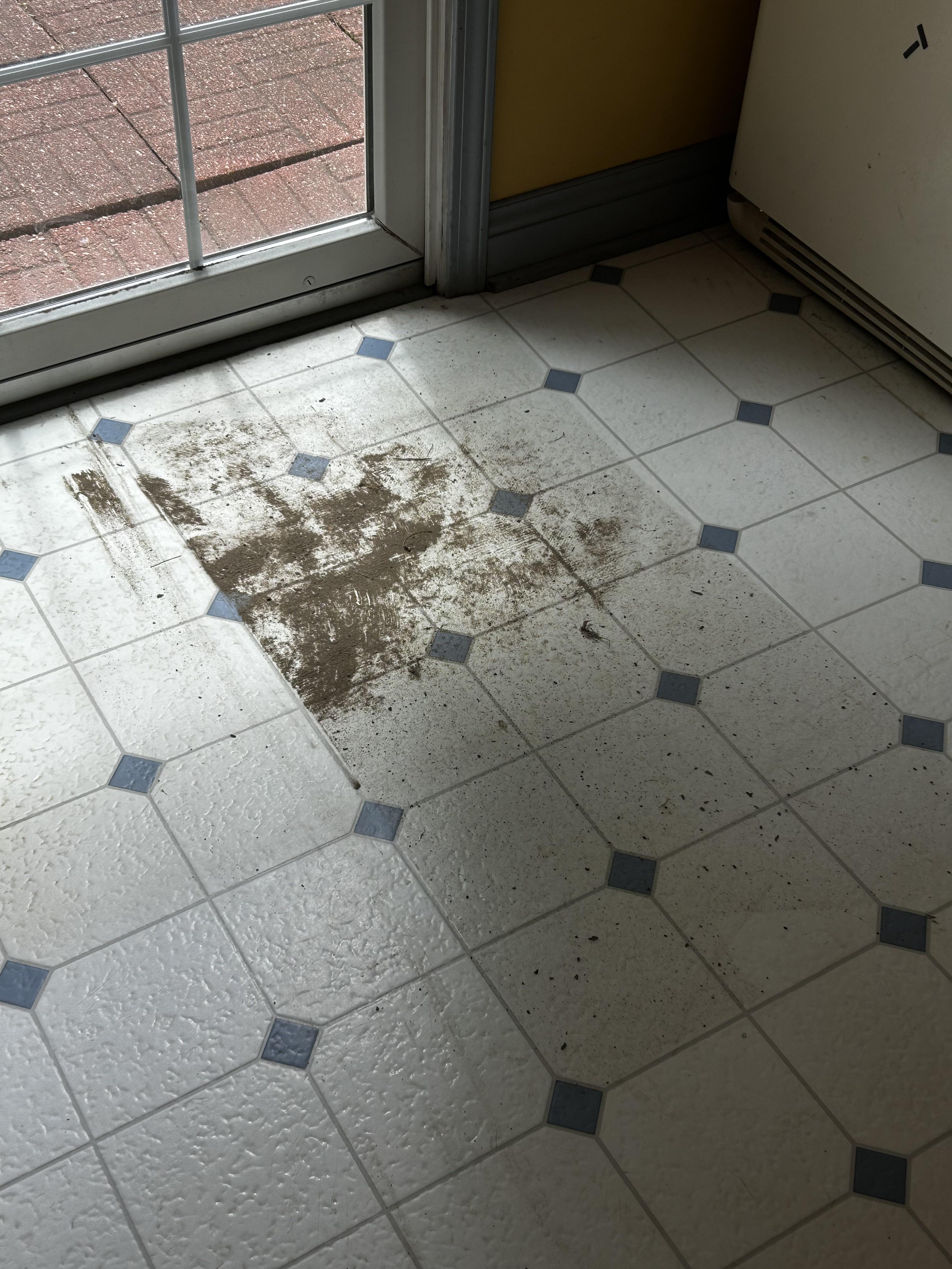 Vacuum really had to die right here... | Scrolller