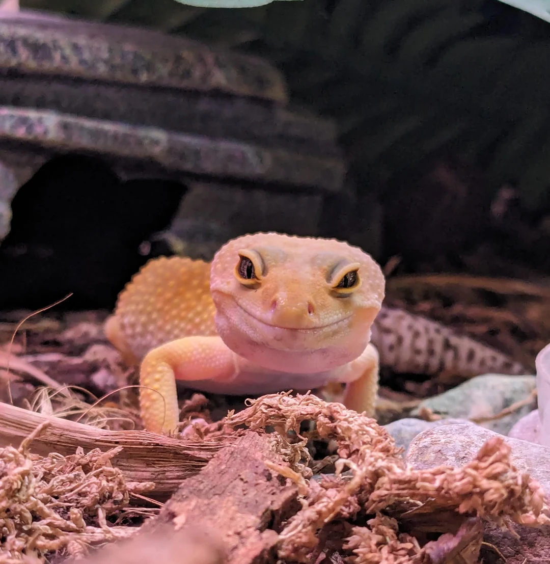 I think she's plotting something | Scrolller