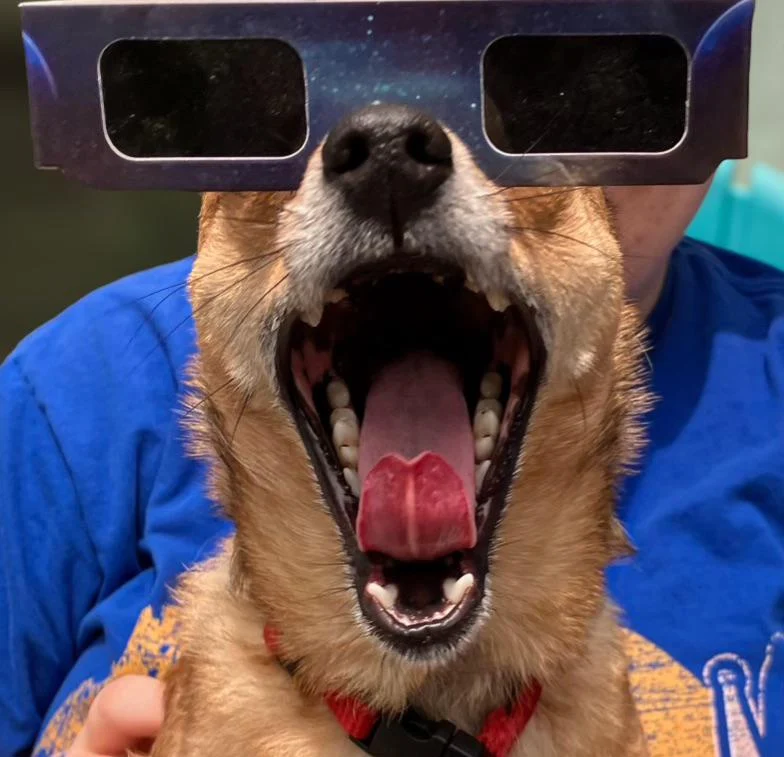 Eclipse Fan | Scrolller