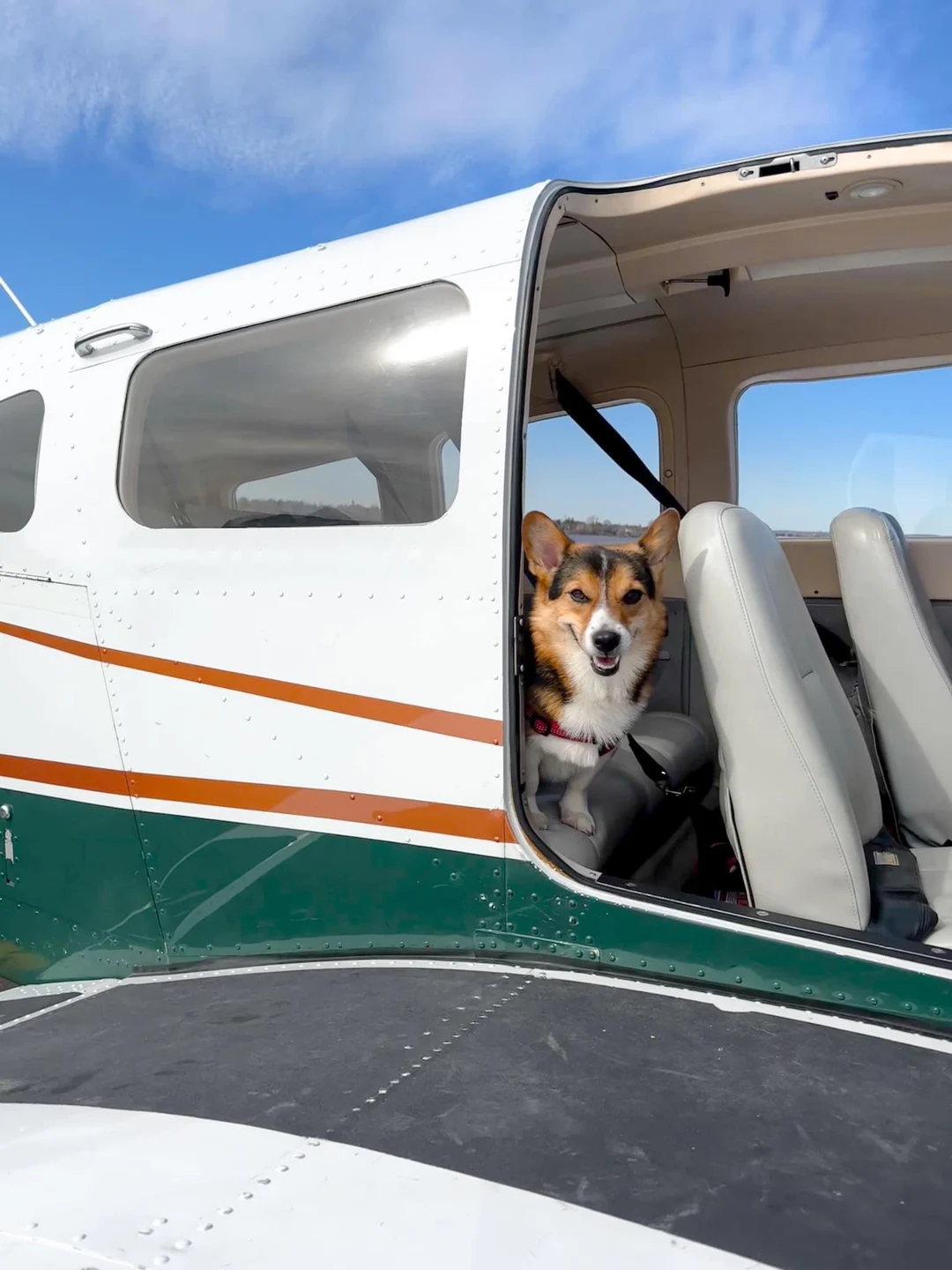 Took Little Man on his first plane ride today! | Scrolller