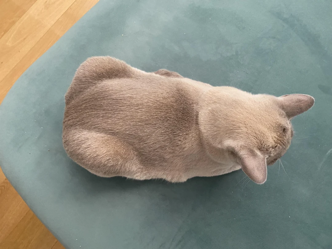 Birds eye view of a beautiful loaf. | Scrolller