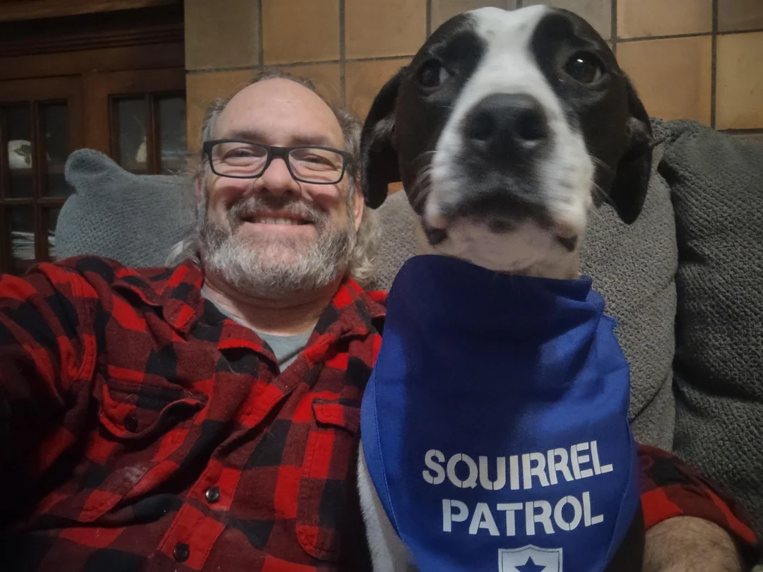 Squirrel Patrol | Scrolller