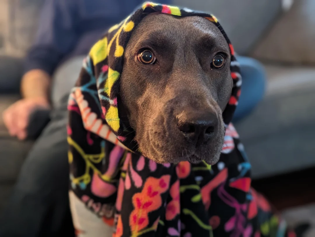 Babushka | Scrolller