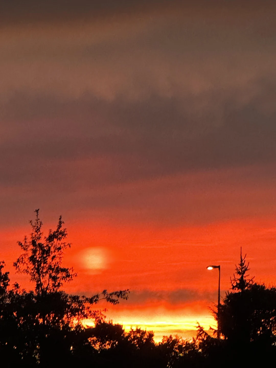 Shot on iPhone 14 Pro Max | Scrolller