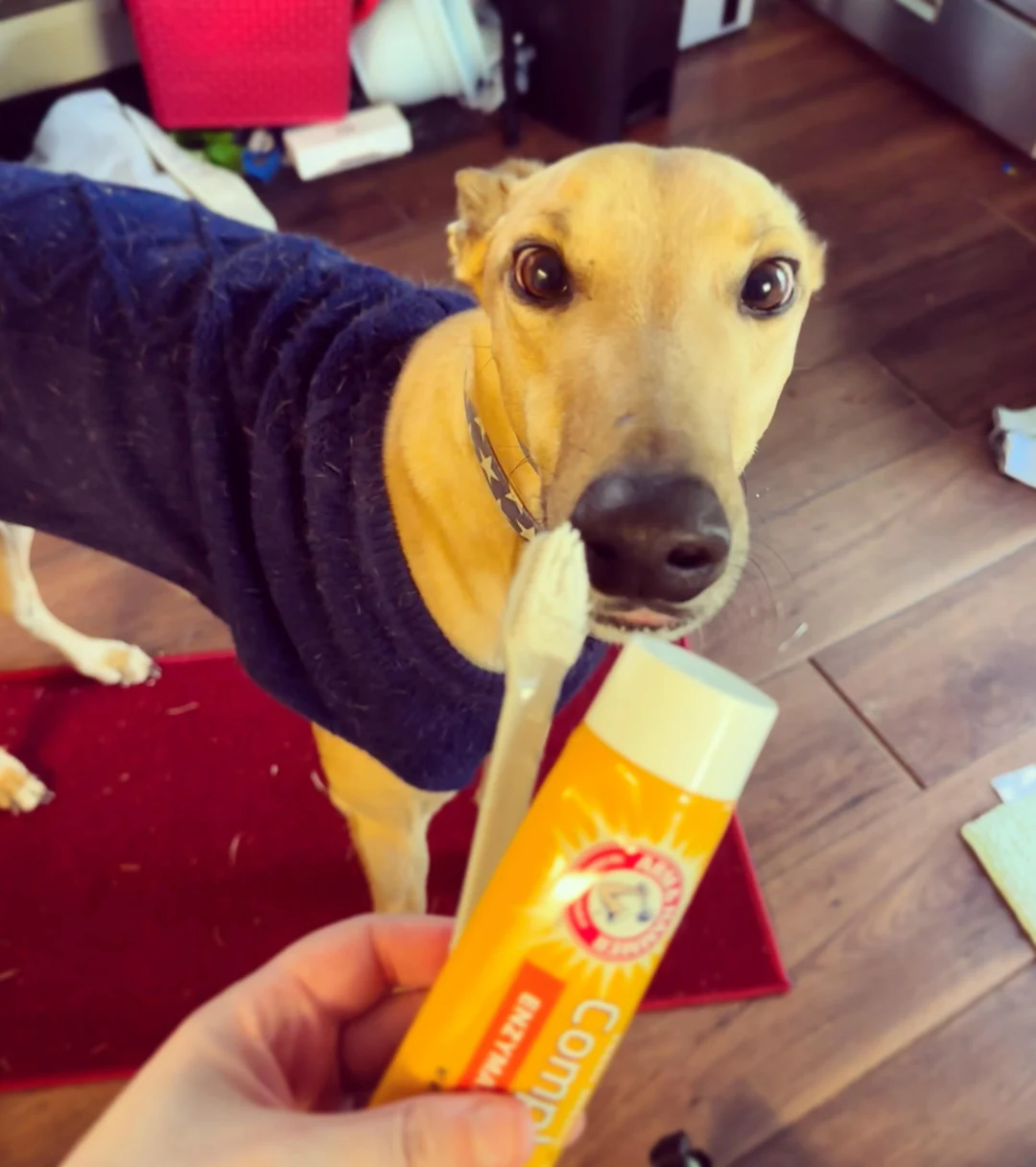 Brush those teefers! | Scrolller