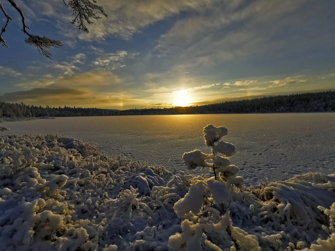 one of many beautifully evenings | Scrolller