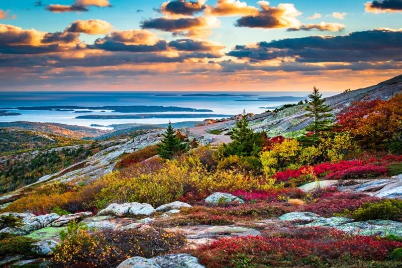 Fall Foliage at Acadia National Park, Maine by James Griffiths Photography | Scrolller