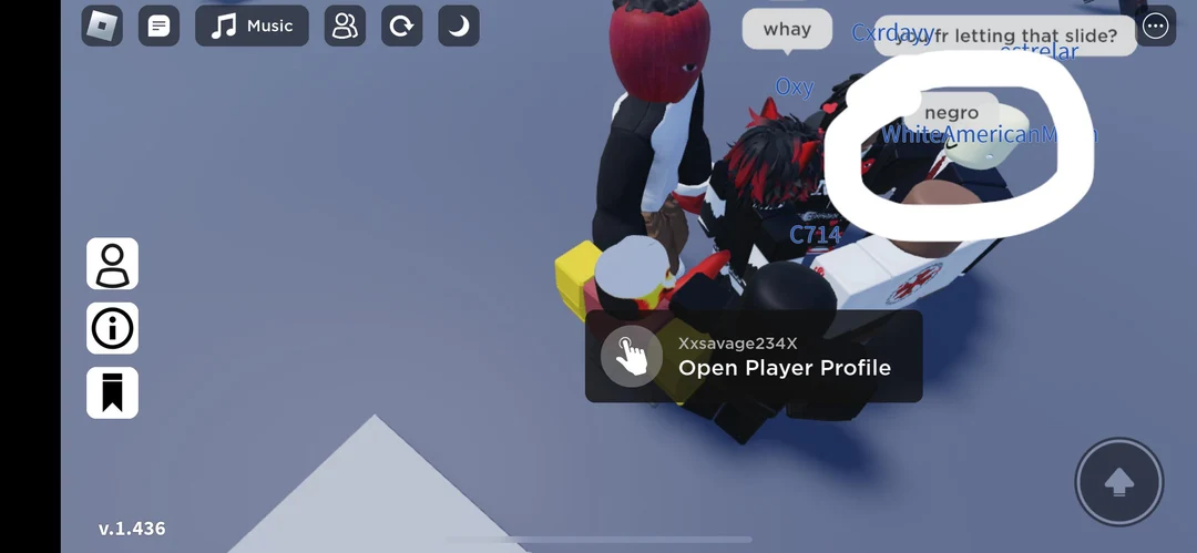 Roblox be wildin | Scrolller