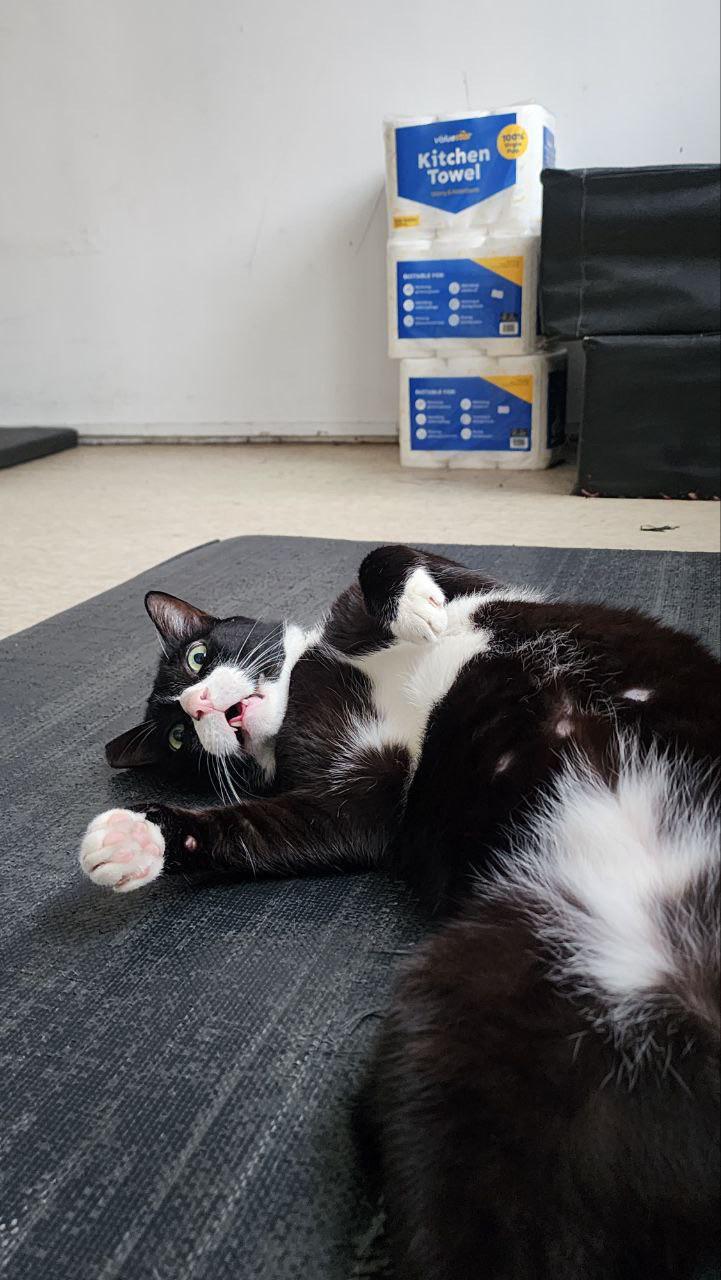 Someone got caught taking a nap! | Scrolller