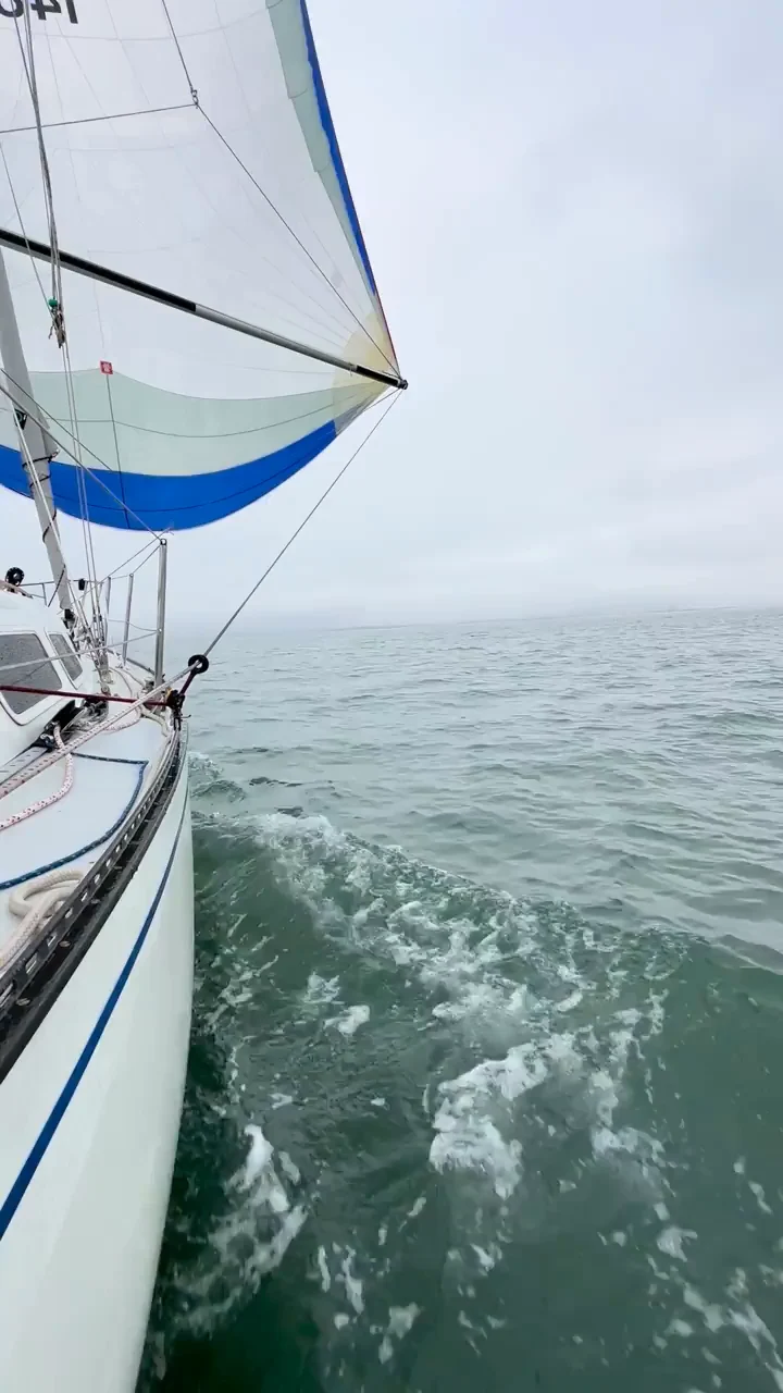 Rainy sail on SF bay | Scrolller