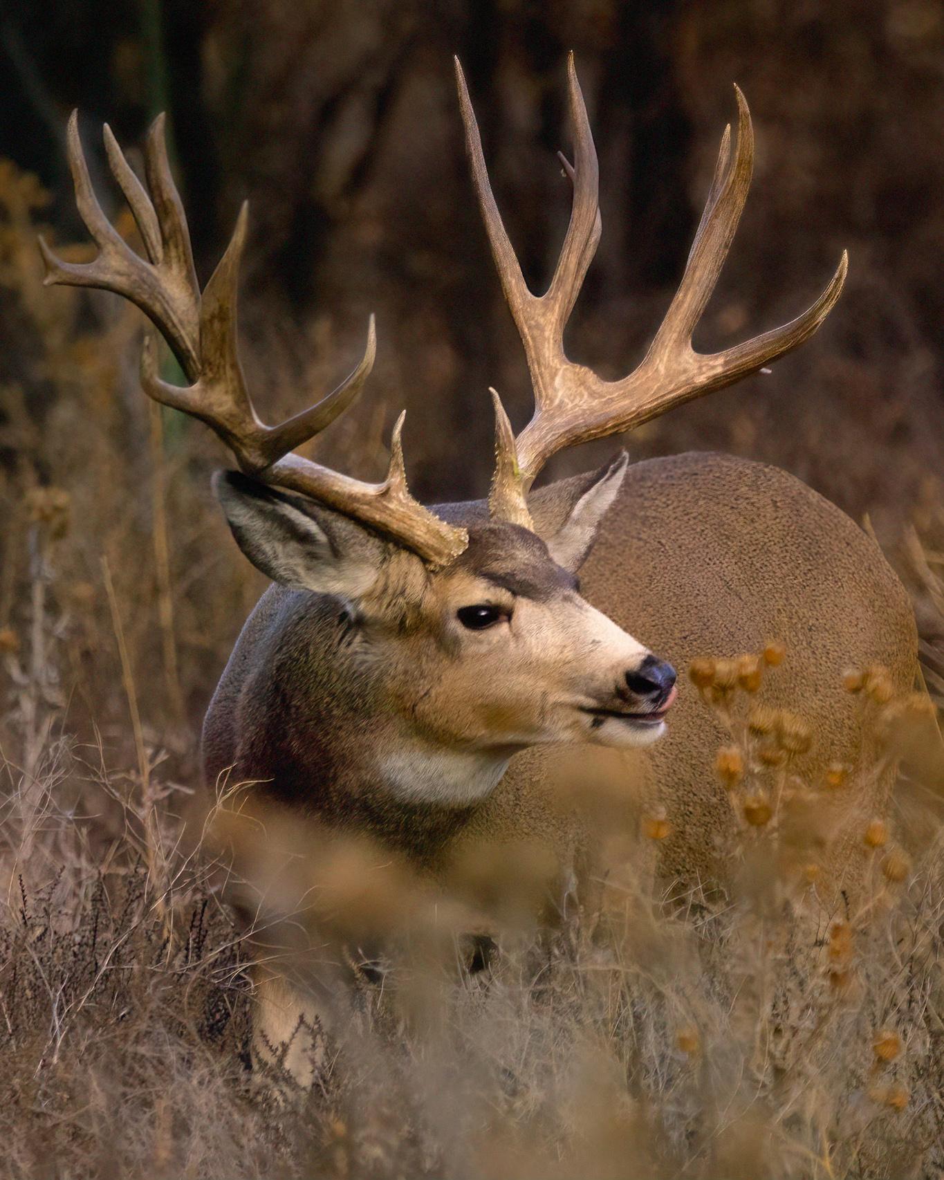 Stickers | Scrolller