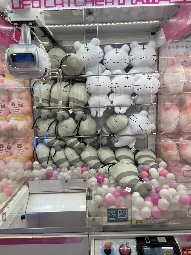 Oh thank goodness, he was just lightly clawed (White Tiger and Black Tiger) | Scrolller