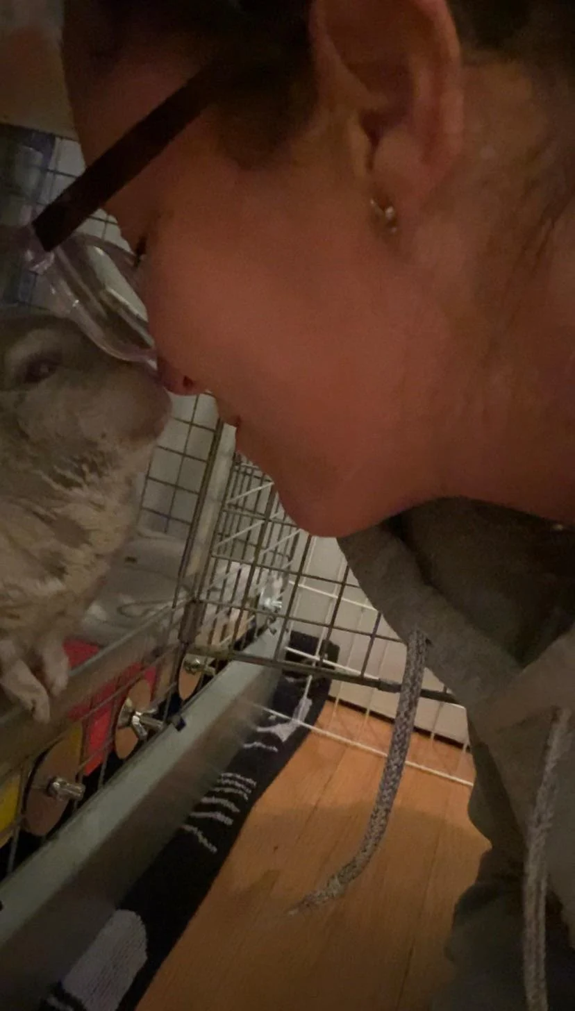 Pep talks with Lilo 🩵 (story time) | Scrolller