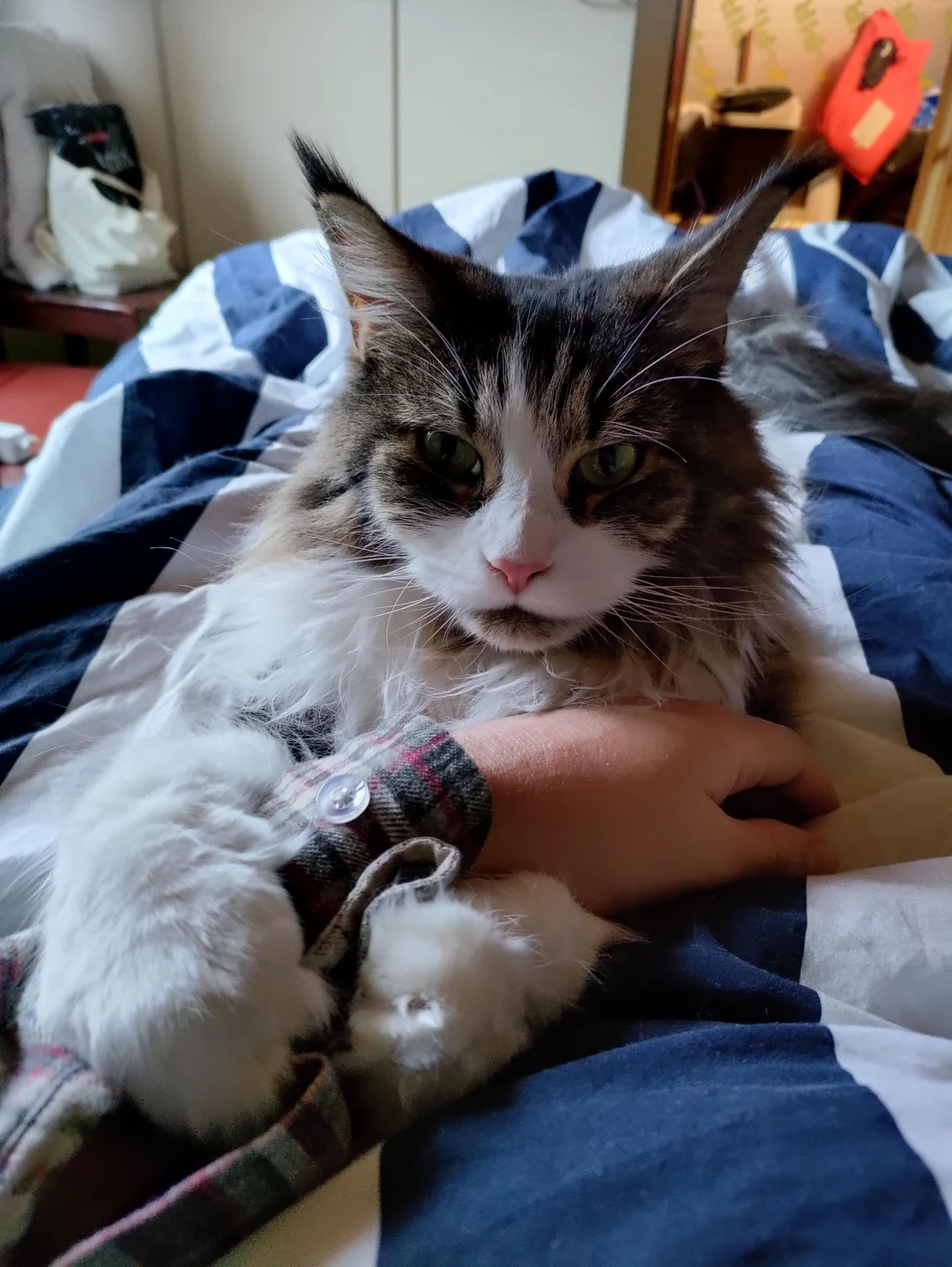 I think she's holding me hostage | Scrolller