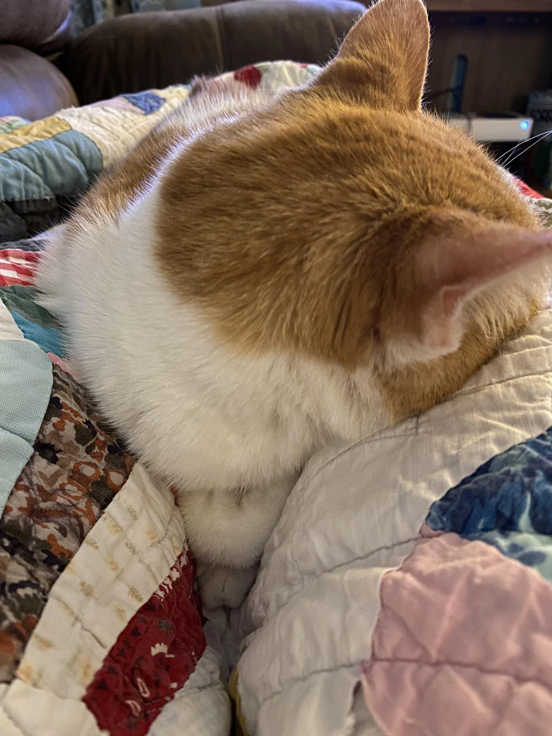 Specialty double bean stack loaf | Scrolller